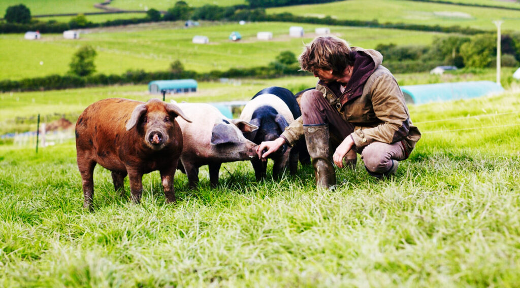 Quality not Quantity • Farms Not Factories