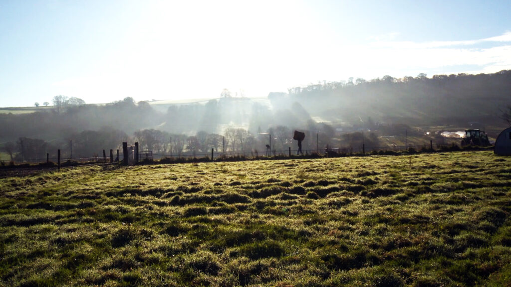 Farm Case Study 8: Lyon's Hill Farm, Dorset • Farms Not Factories
