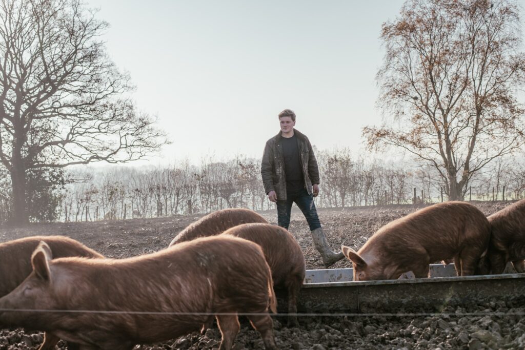 Farm Case Study 8: Lyon's Hill Farm, Dorset • Farms Not Factories