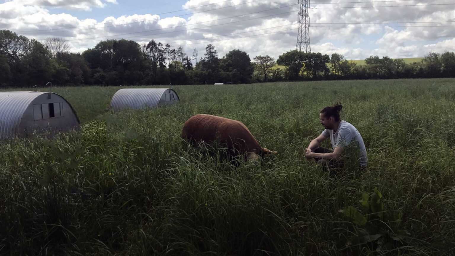 Rooting for Real Farms: Genevieve Taylor & Fred Price (Gothelney Farm ...
