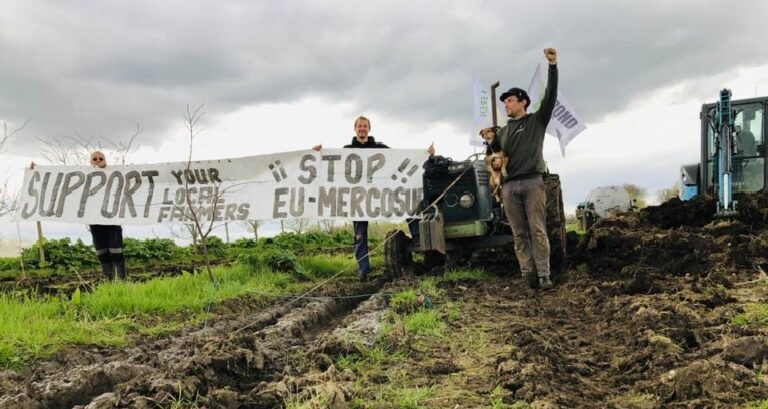 Farms Not Factories • The Campaign to End Factory Farming